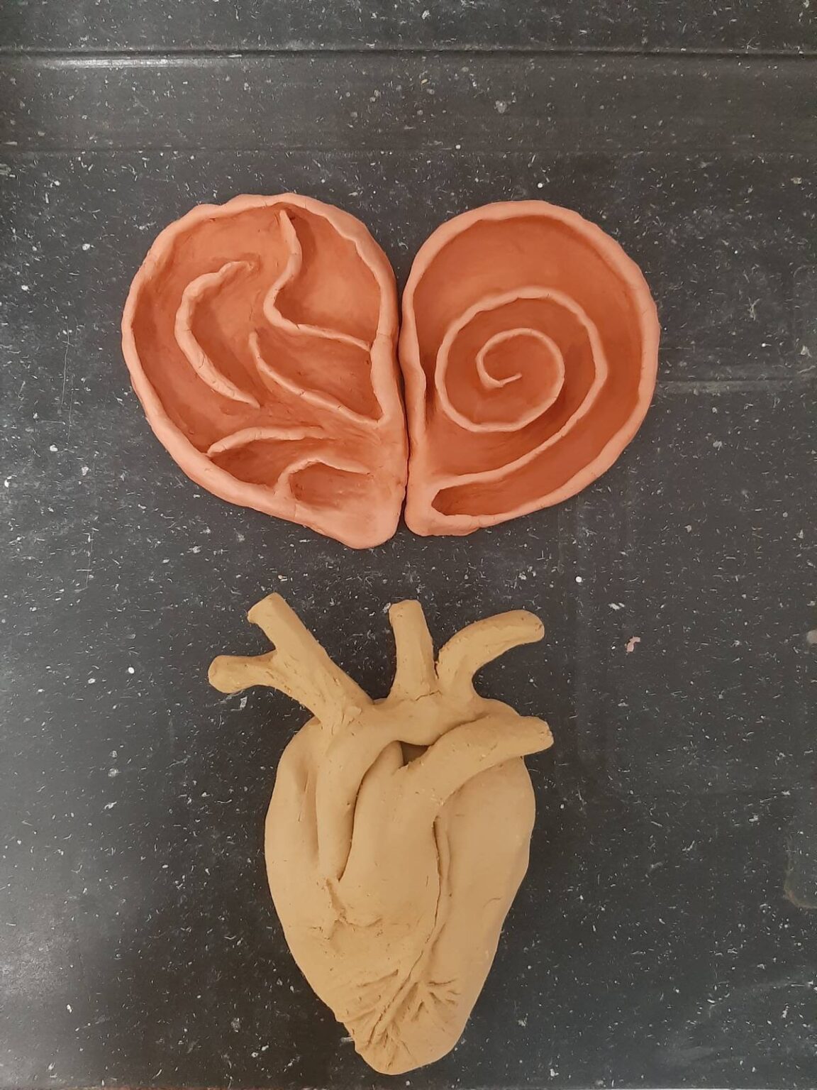 teach your laughter to a flower by Abiona Esther Ojo – Mz* Baltazar's Lab